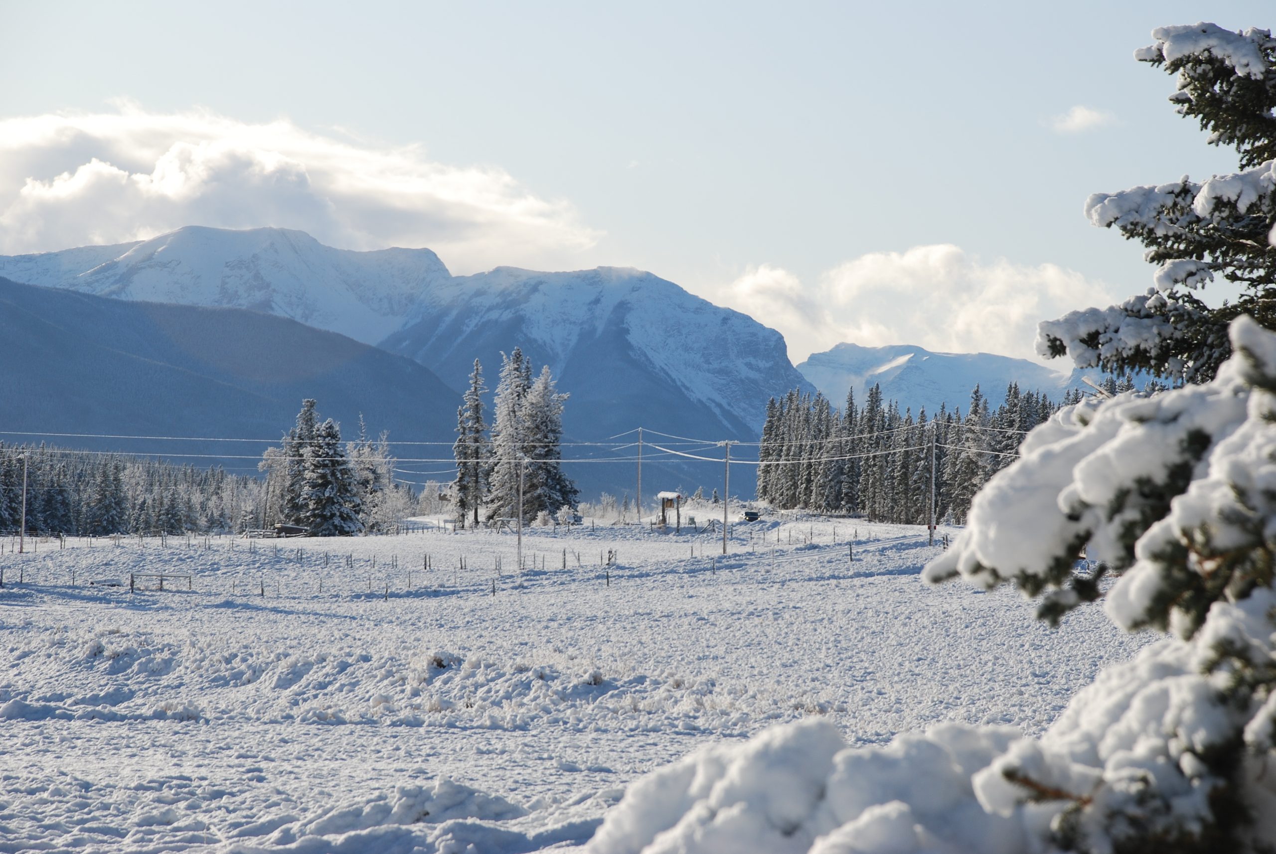 Winter view of the Rockies - Alberta Rockies Adventures